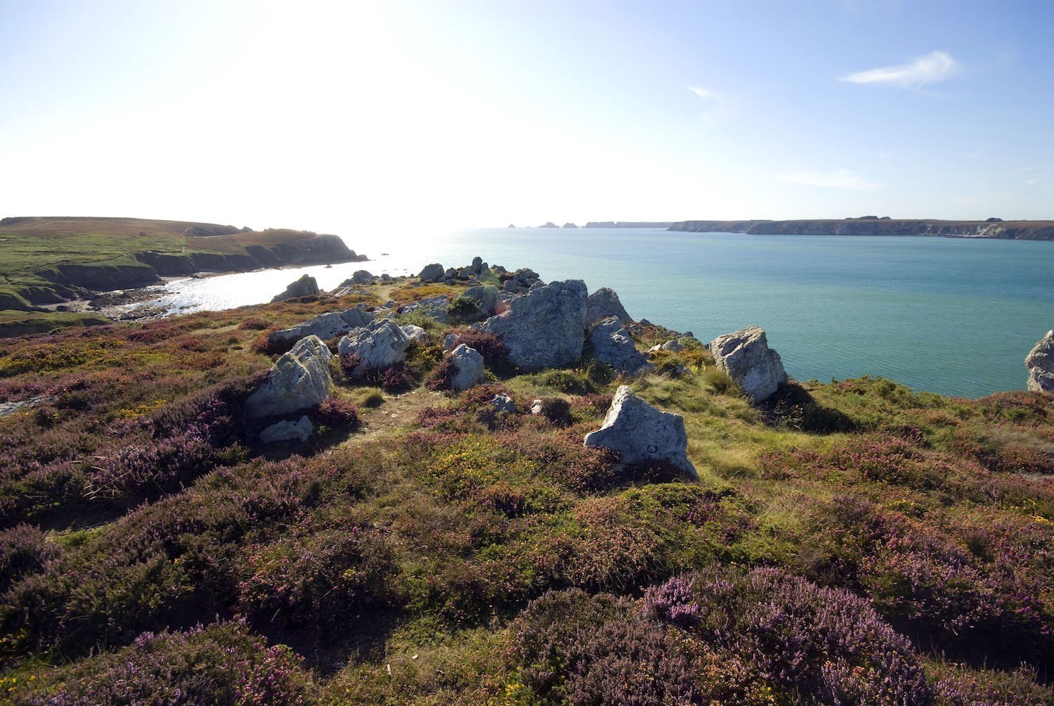 Les landes de Bretagne, une réserve de biodiversité - Office de Tourisme