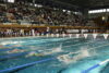 Piscine de Bréquigny - Office de Tourisme
