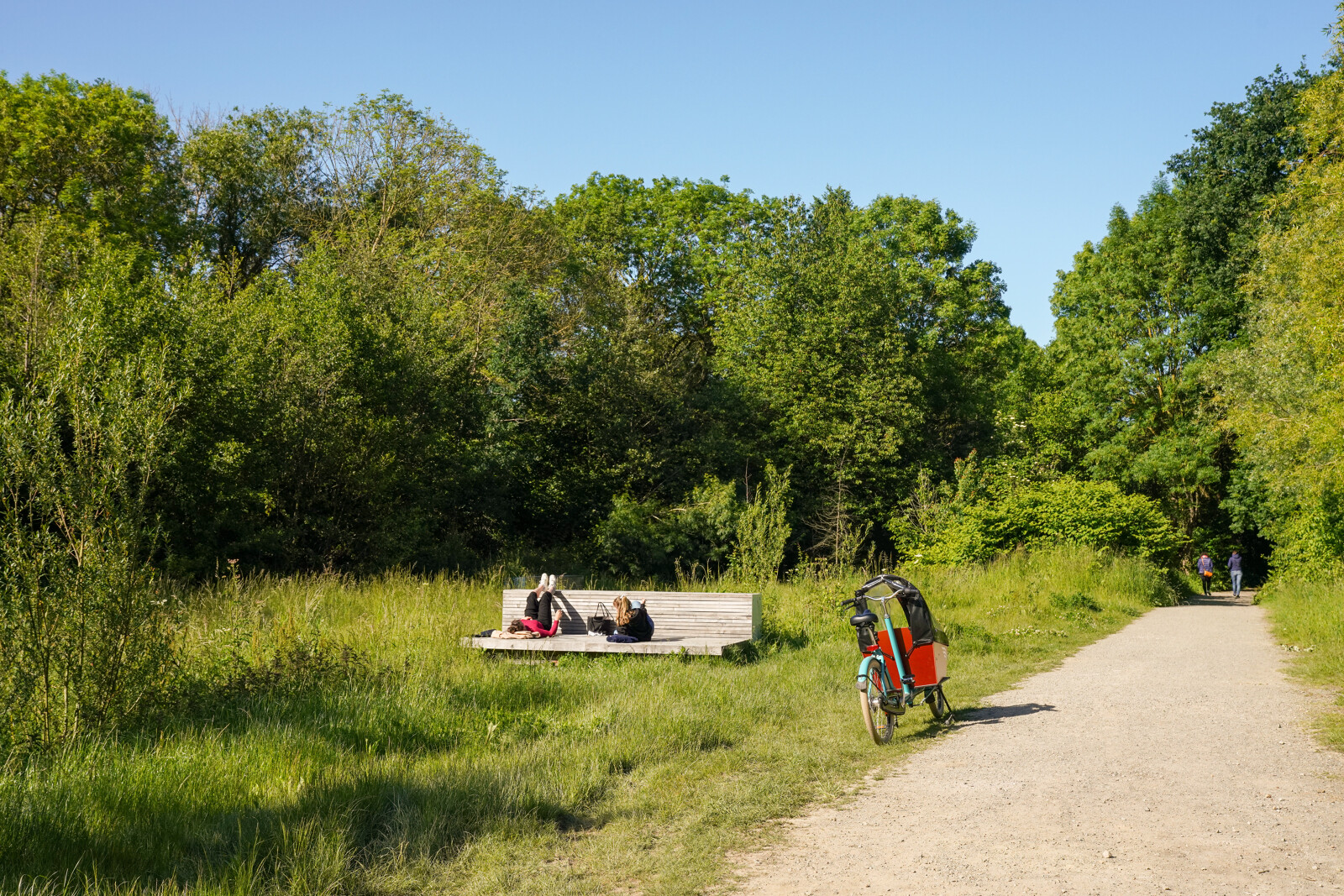 6 bonnes raisons d'aller aux prairies Saint-Martin - Office de Tourisme