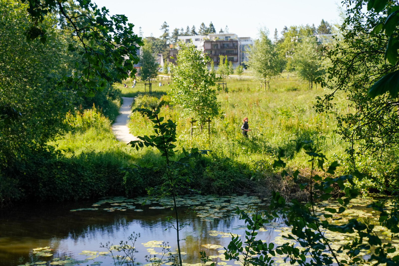 6 bonnes raisons d'aller aux prairies Saint-Martin - Office de Tourisme